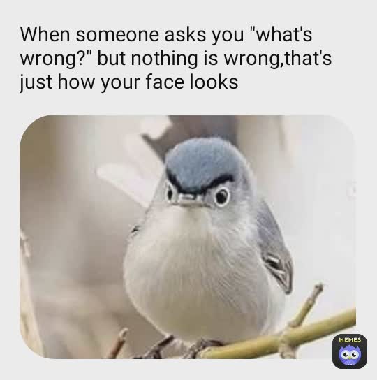 Post by @In_Your_Face | Memes