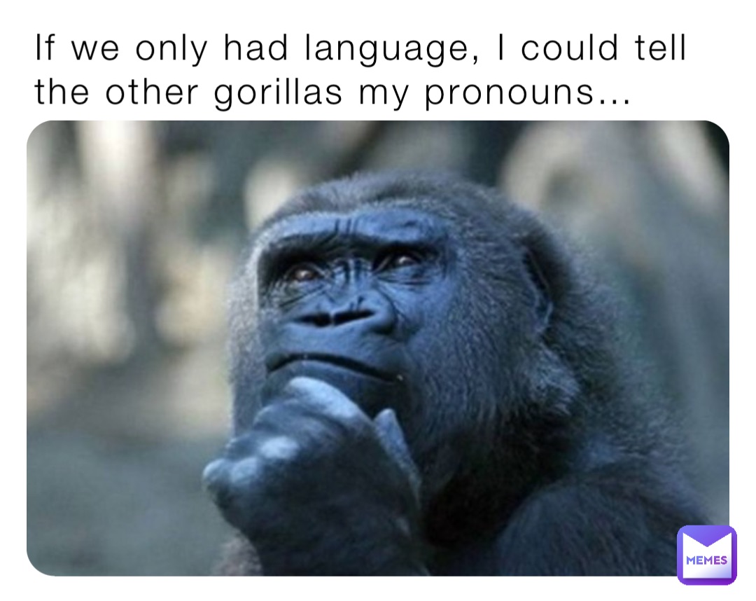 QUATO LIVES! Shhh… baby quato sleeping | @baldinia | Memes