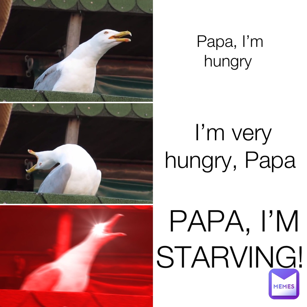 QUATO LIVES! Shhh… baby quato sleeping | @baldinia | Memes