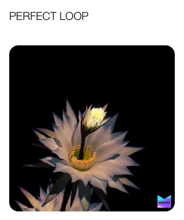 Post by @master_of_memes_10 | Memes