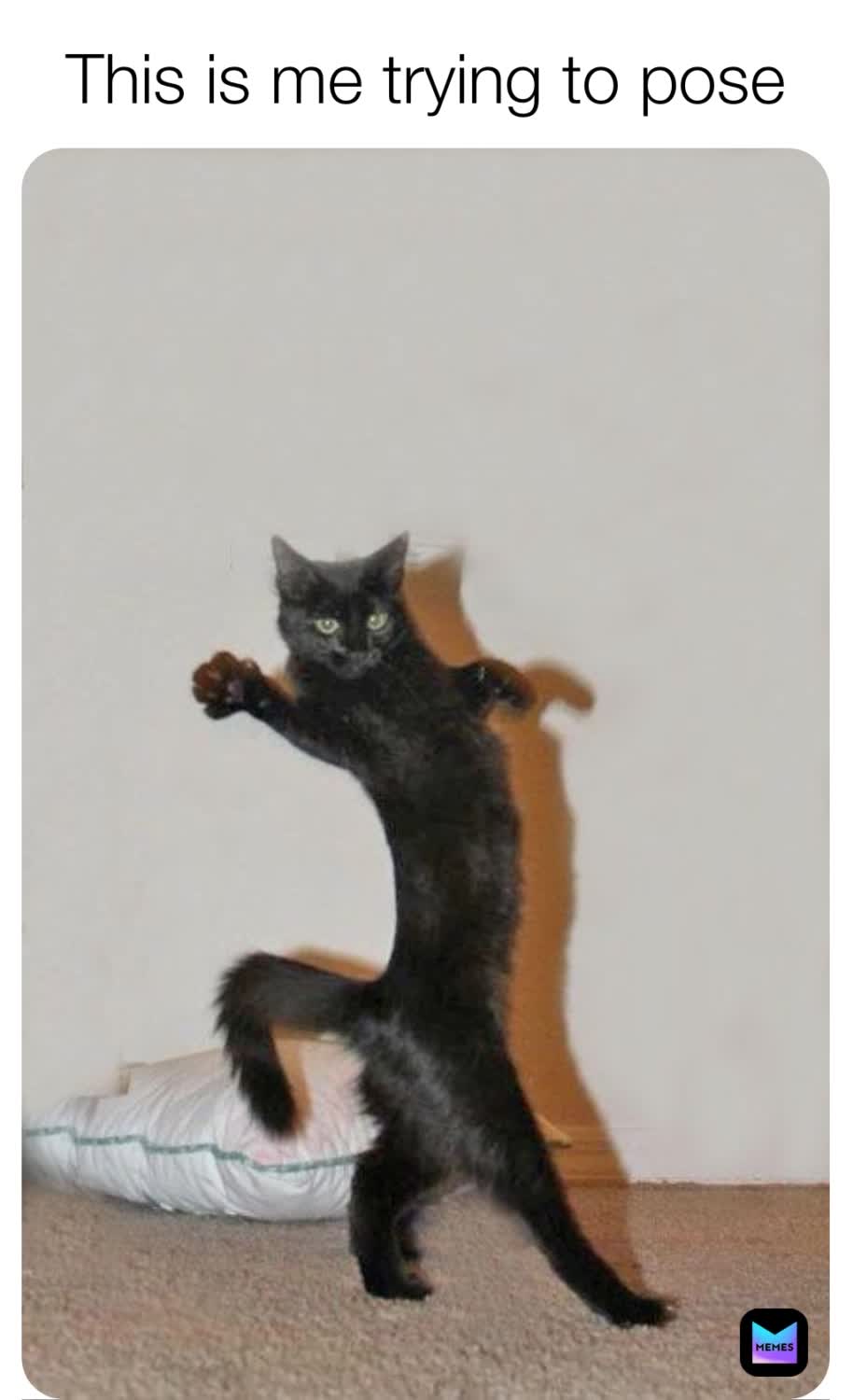 Post by @im_lame | Memes