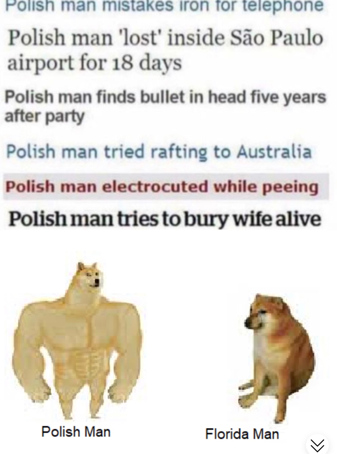 Post by @A_sosig | Memes