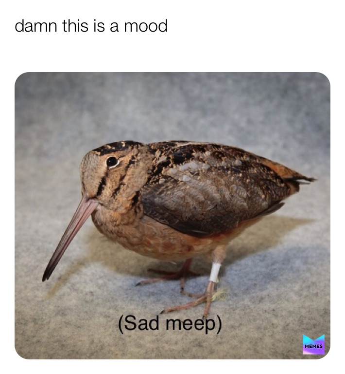 Post by @teeheememes | Memes