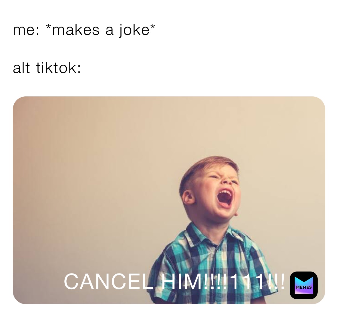 me: *makes a joke* alt tiktok: | @wesley-wang | Memes