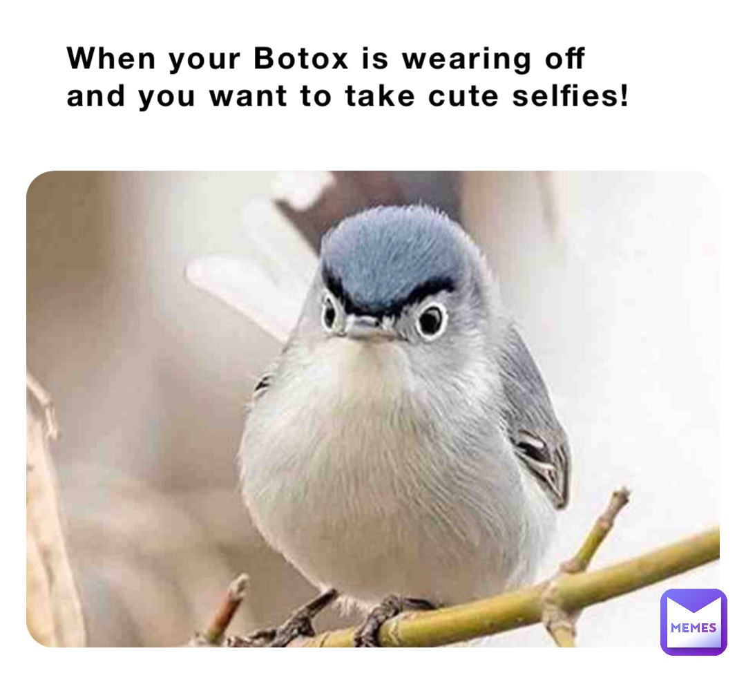 When your Botox is wearing off and you want to take cute selfies ...