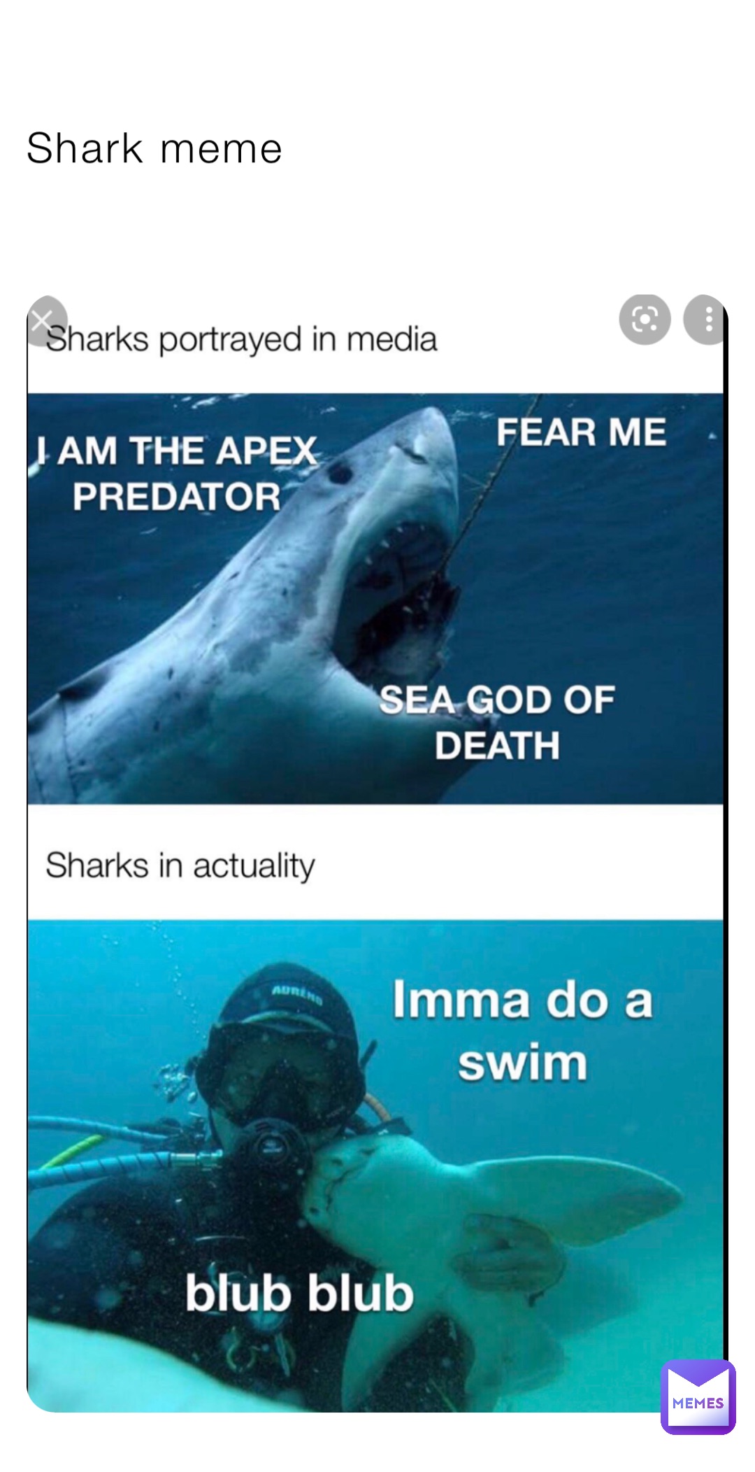 Shark meme | @fisher_kidd | Memes