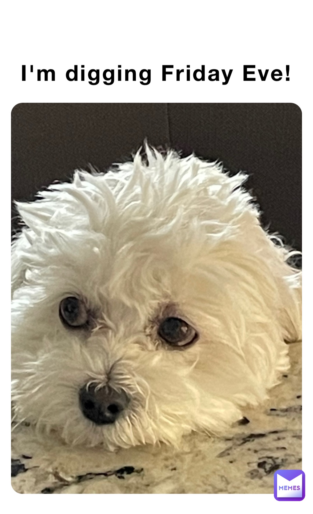 It’s Friday Eve Baby! | @williamgillispie | Memes