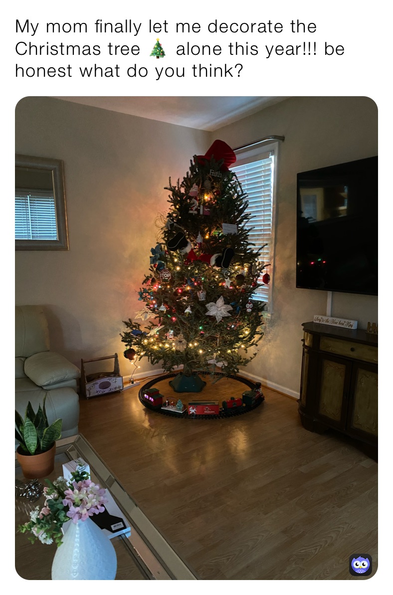 My mom finally let me decorate the Christmas tree 🎄 alone this year ...