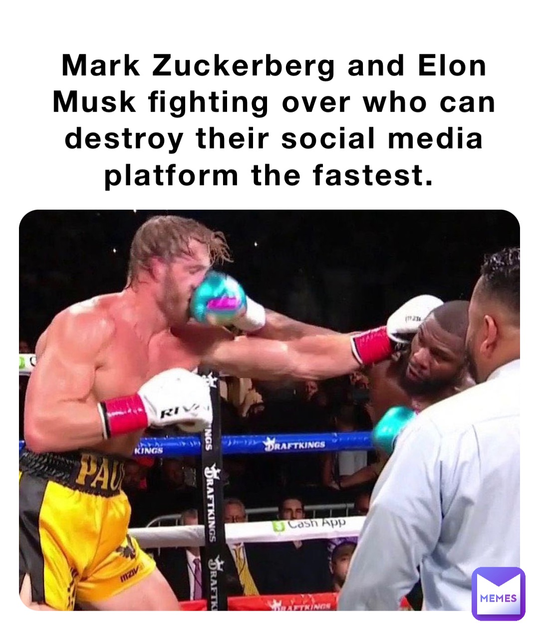 Jeremy Prasetyo on LinkedIn: Musk vs. Zuck On whom are you betting ...