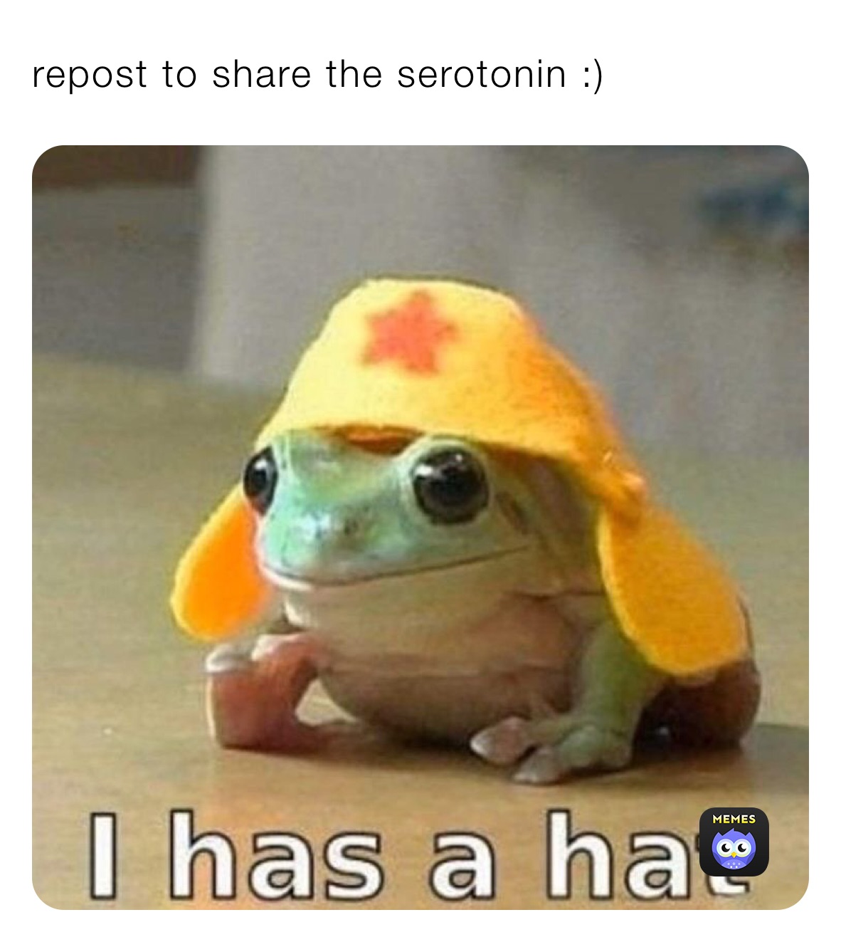 repost to share the serotonin :) | @Rainbow_Lizardd | Memes