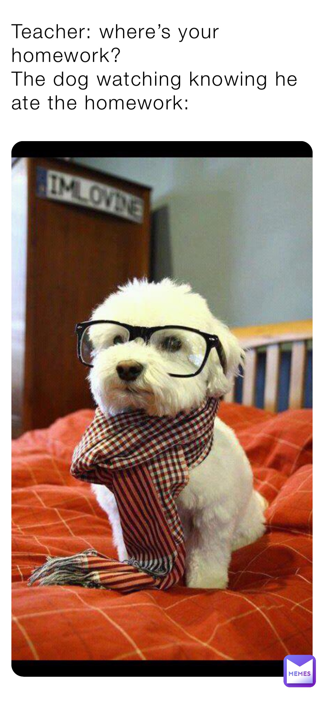 Teacher: where’s your homework? The dog watching knowing he ate the ...