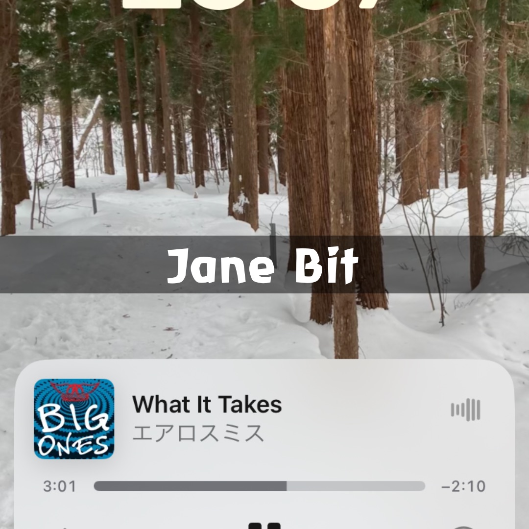 Jane Bit | @DIYKAZUSH_6669110 | Memes