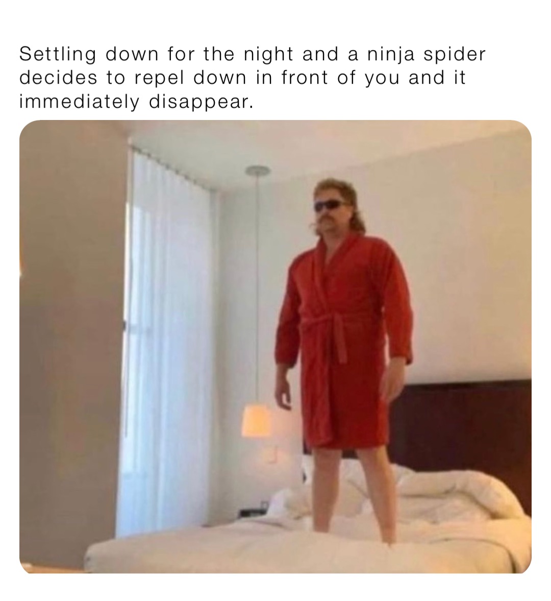 Settling down for the night and a ninja spider decides to repel down in ...