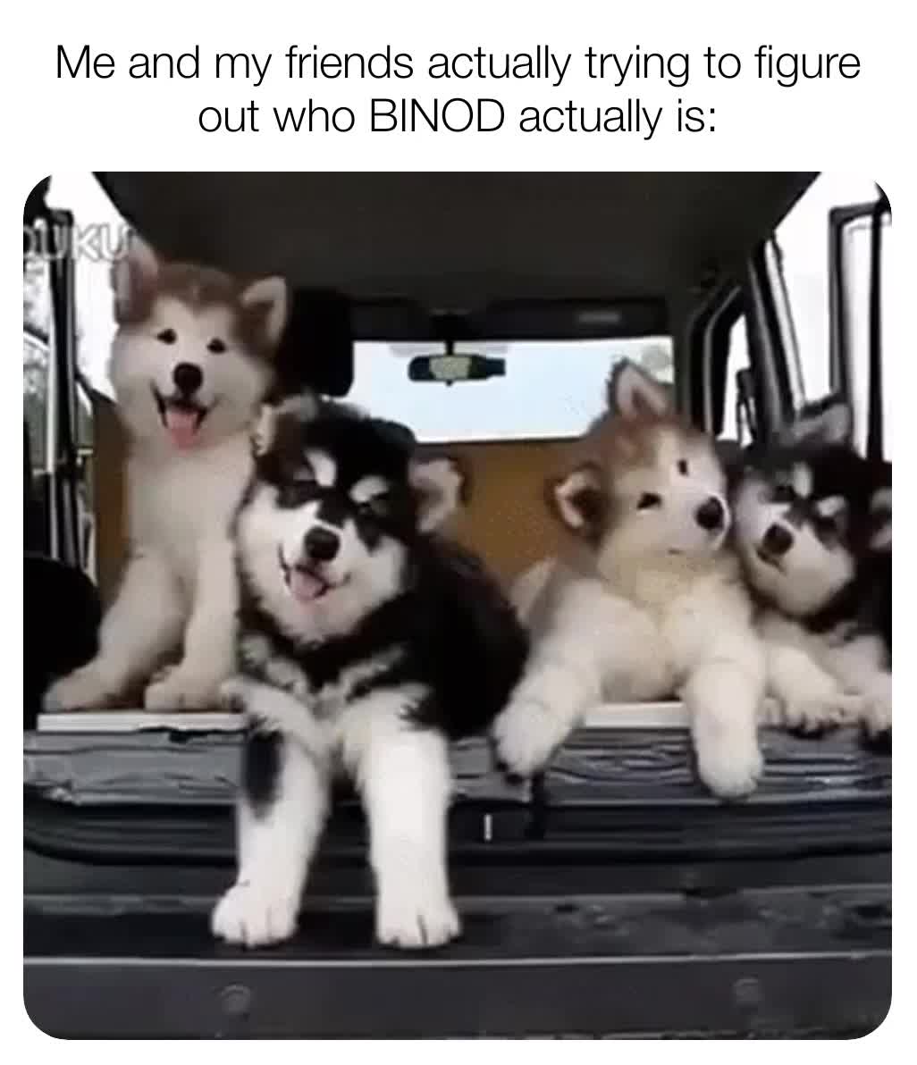 Post by @himalayan_memes | Memes