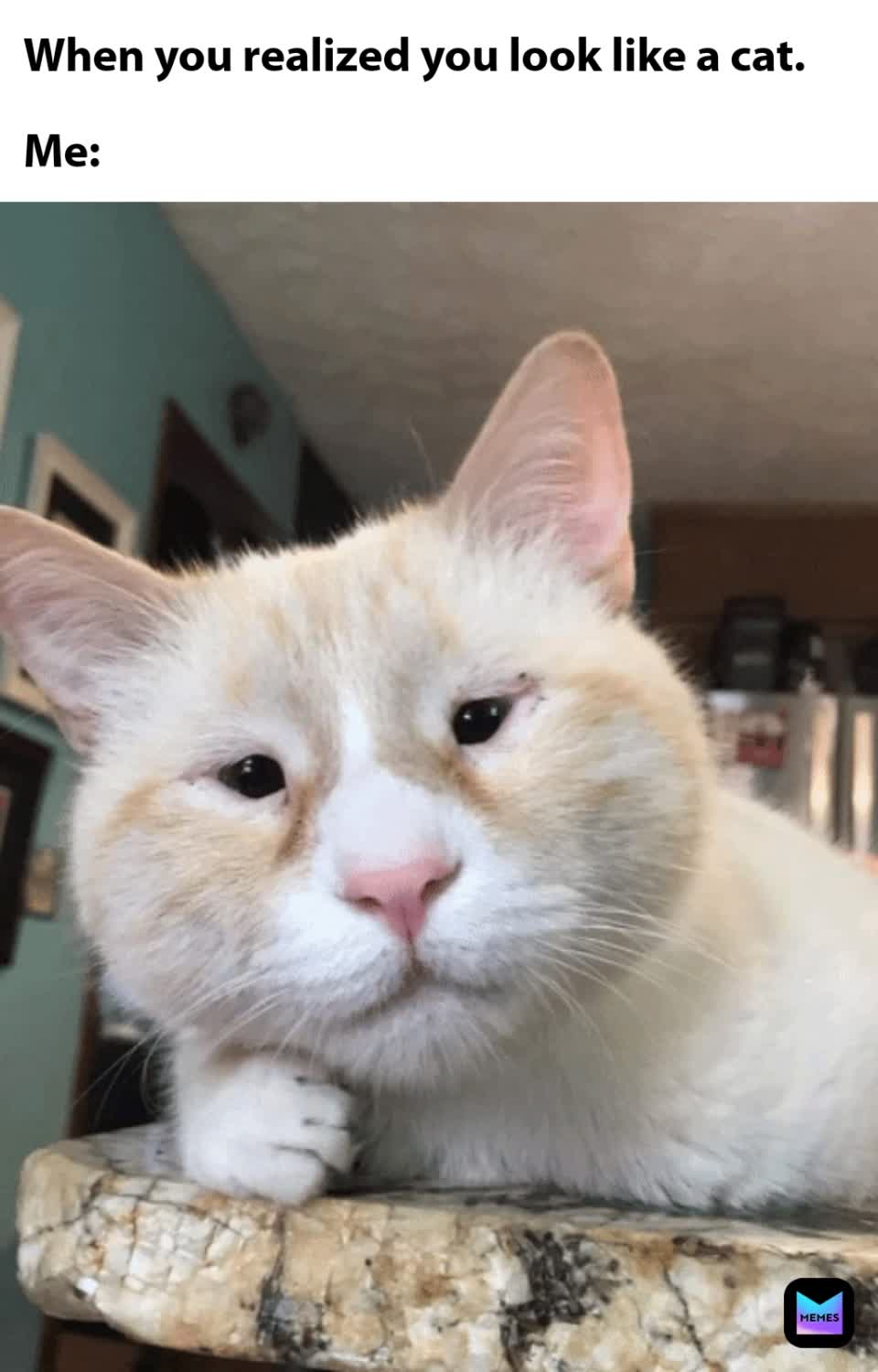 Post by @marlo.thecreator | Memes