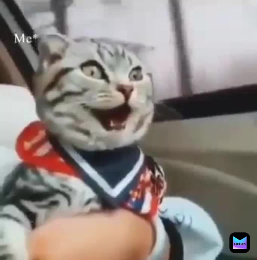 Post by @marlo.thecreator | Memes