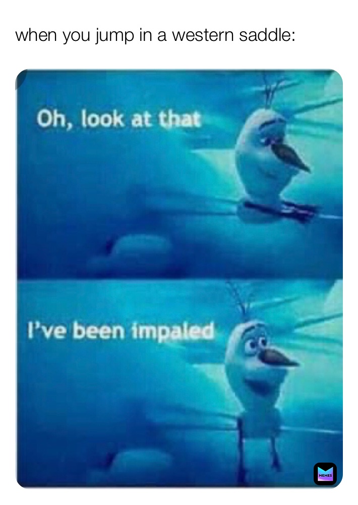 when you jump in a western saddle: | @pony_girl4 | Memes