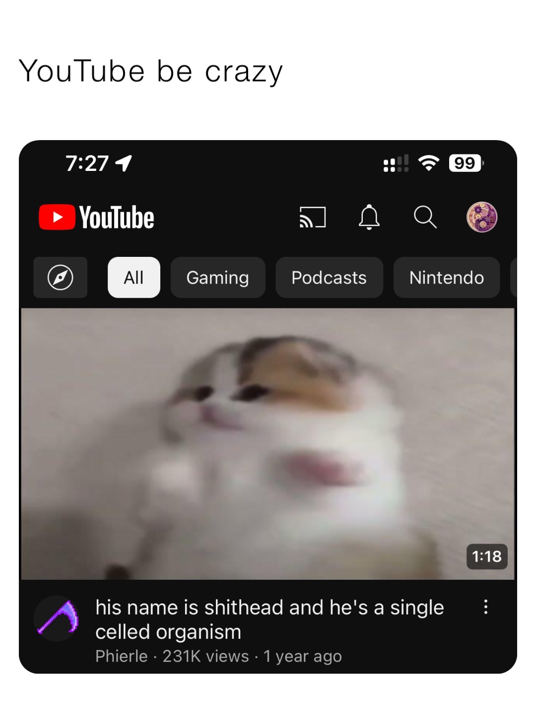 YouTube be crazy | @NeonsHere | Memes