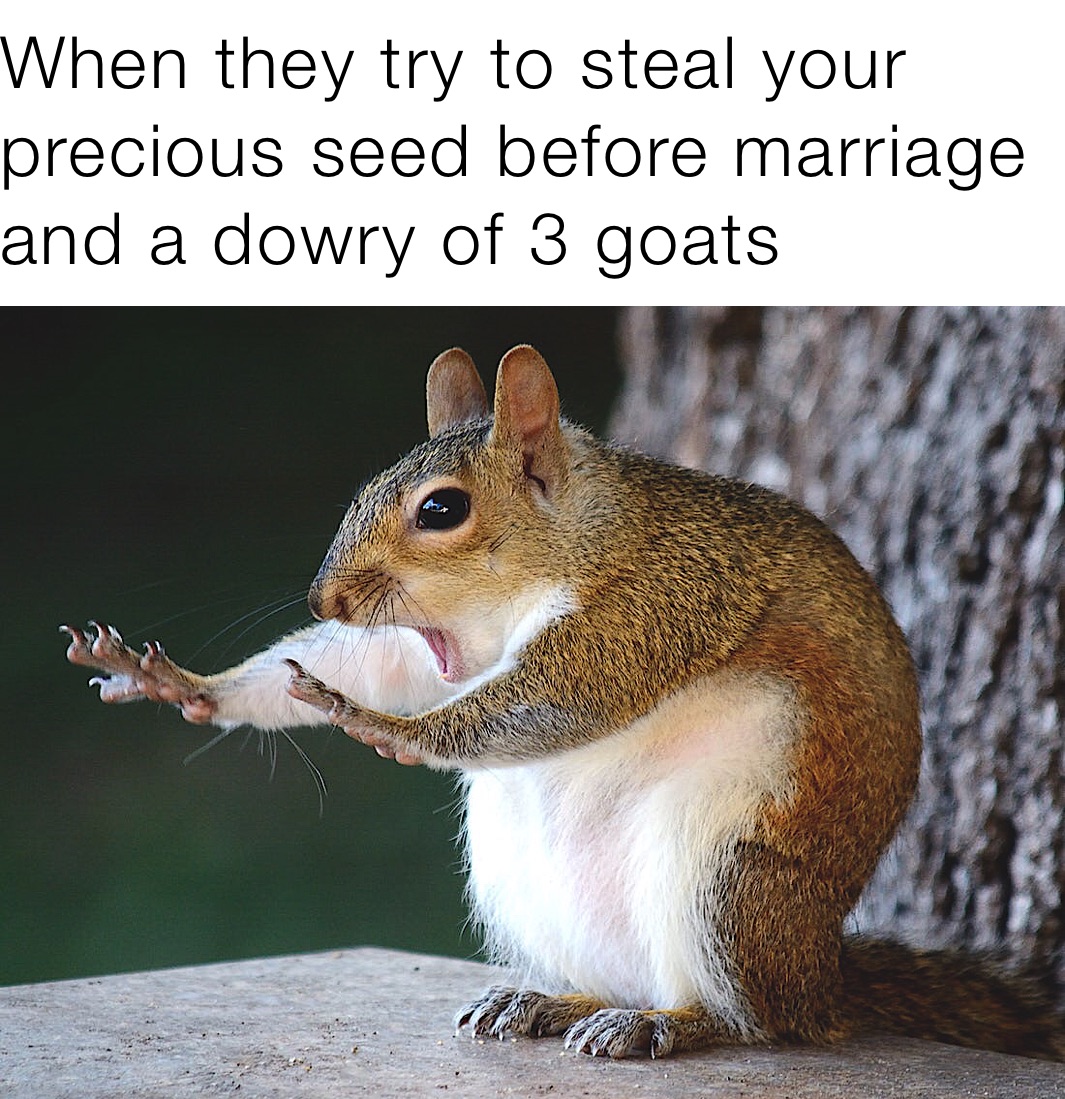 When they try to steal your precious seed before marriage and a dowry ...