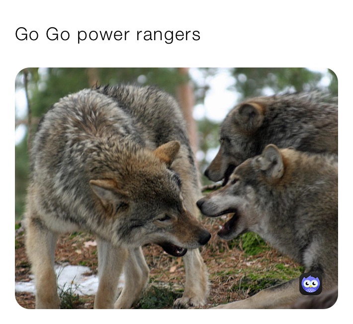 Go Go power rangers | @bruuuuuuuuuuuuh | Memes