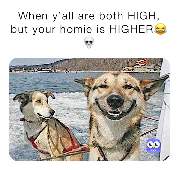 When y’all are both HIGH, but your homie is HIGHER😂💀 | @iamjuliusjr | Memes