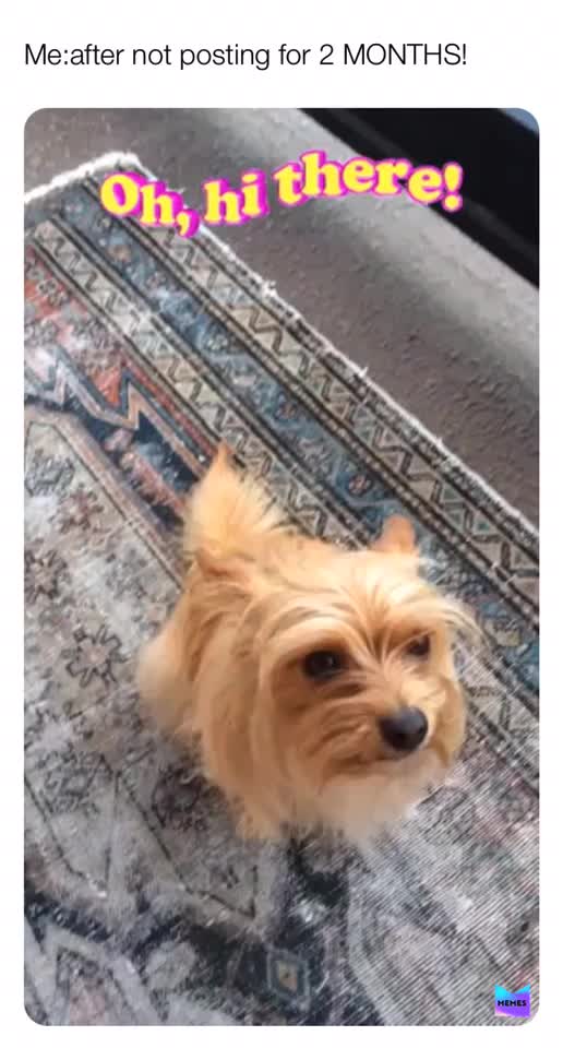 Post by @MEME_MASTER_MEMES | Memes