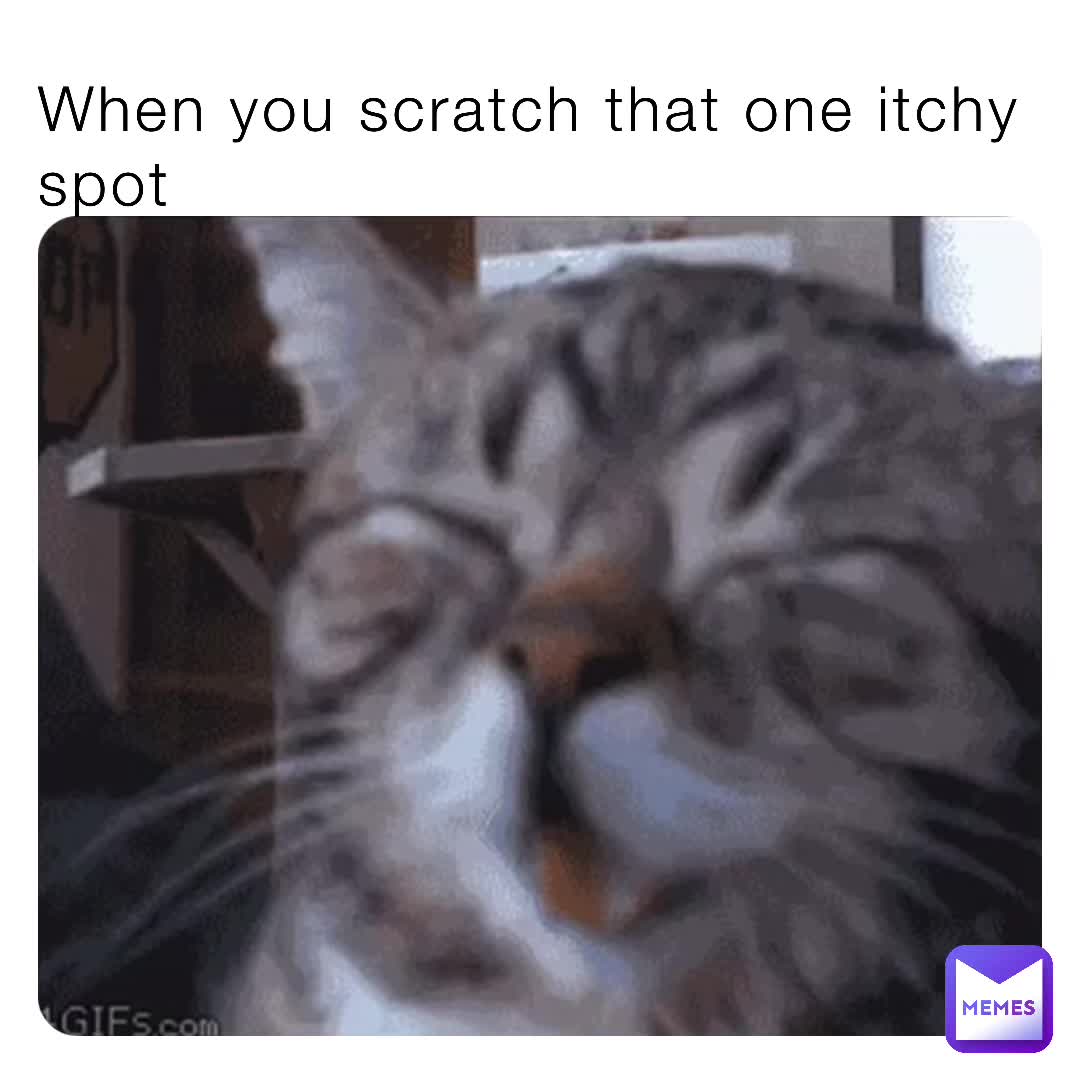 When you scratch that one itchy spot | @DJCOOKIE | Memes