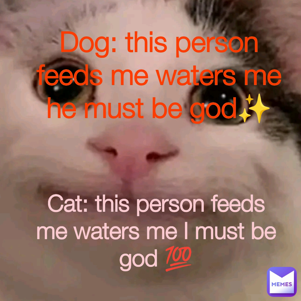 God Of The Internet Cat