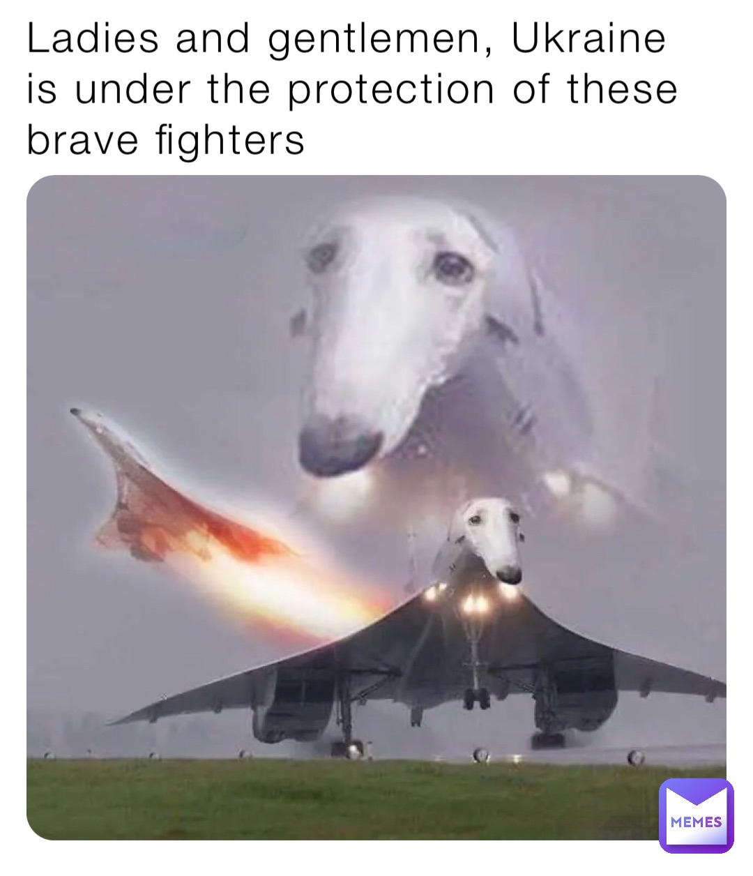 Ladies and gentlemen, Ukraine is under the protection of these brave ...