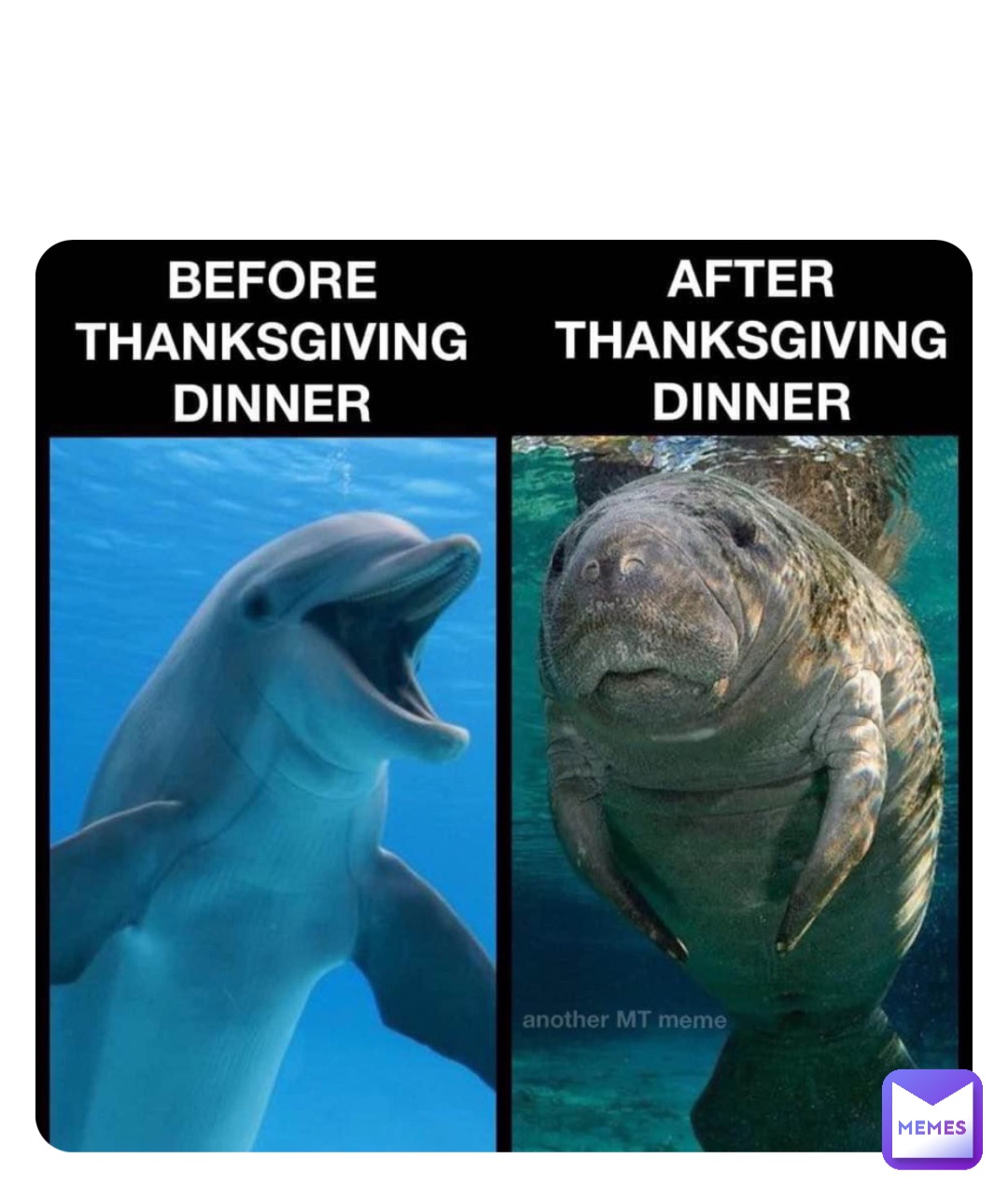 Double tap to edit | @27reasonstojumpoffabridge | Memes