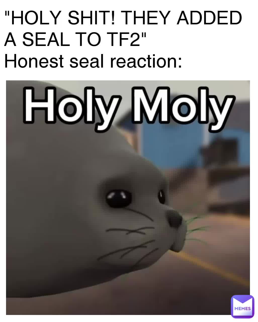 "HOLY SHIT! THEY ADDED A SEAL TO TF2" Honest seal reaction ...
