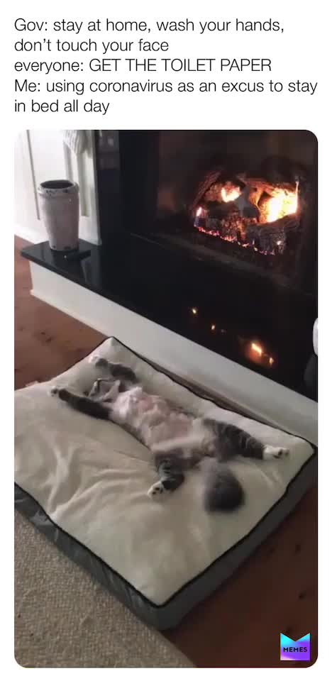 Post by @maxwell_house | Memes