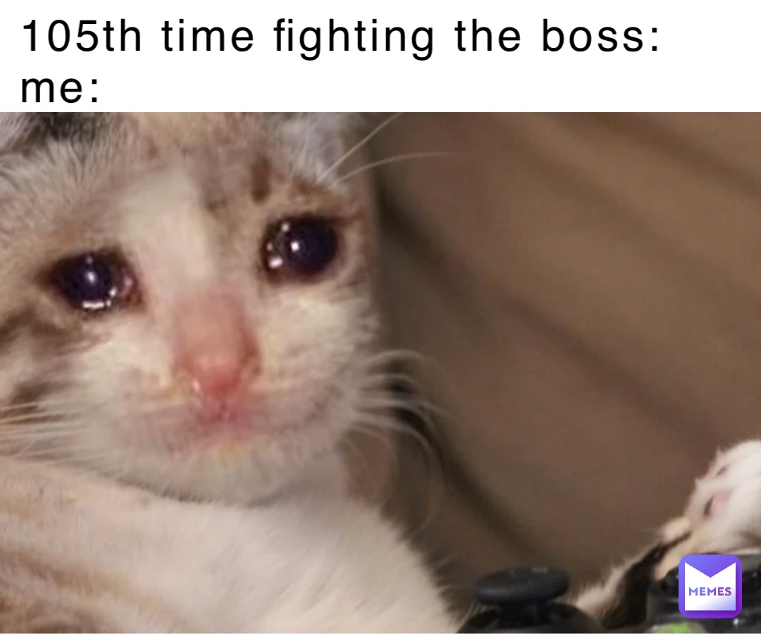 105th time fighting the boss: me: bro.. | @BRII0729 | Memes
