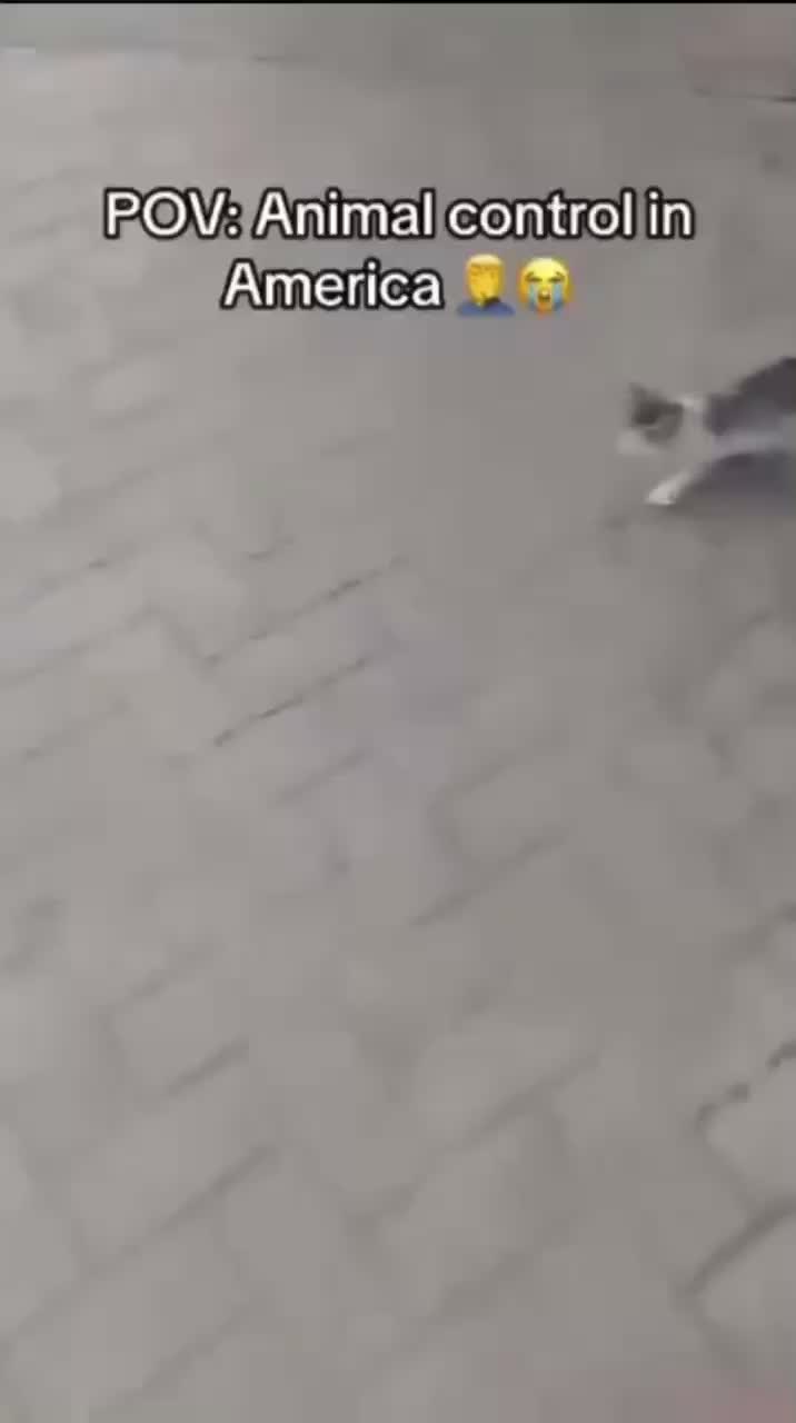 Post by @your_daily_poster | Memes