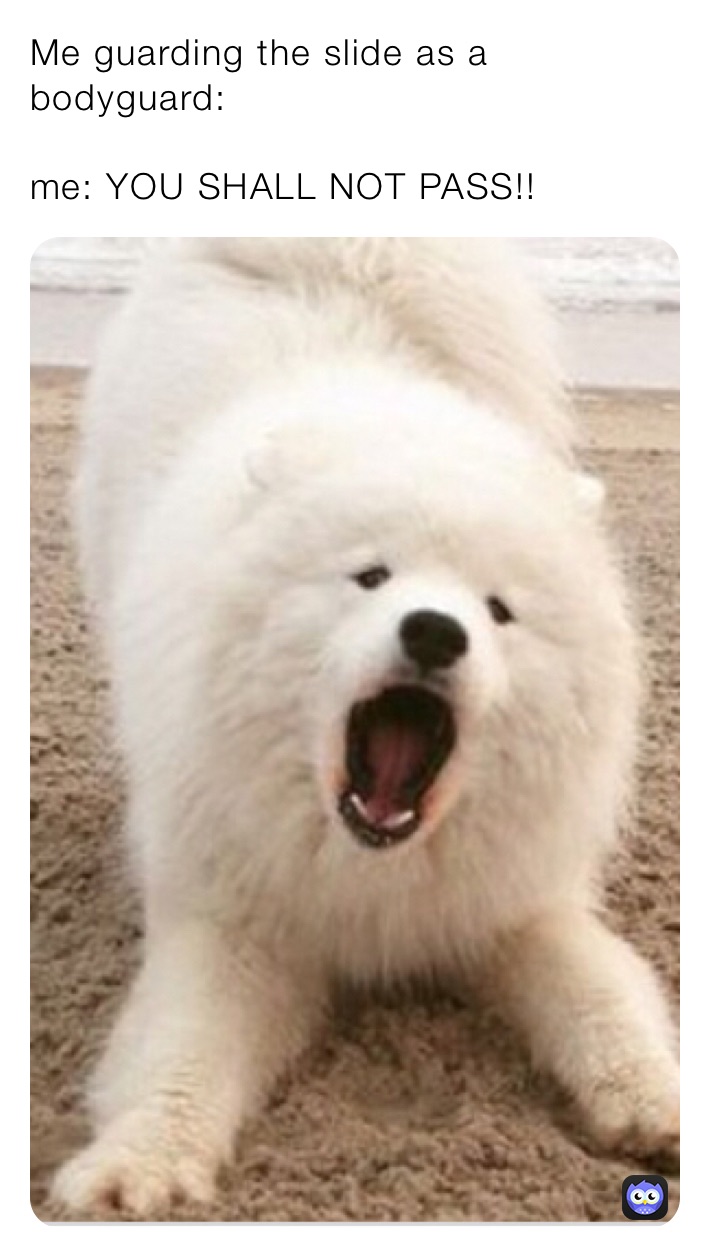 Me guarding the slide as a bodyguard: me: YOU SHALL NOT PASS ...