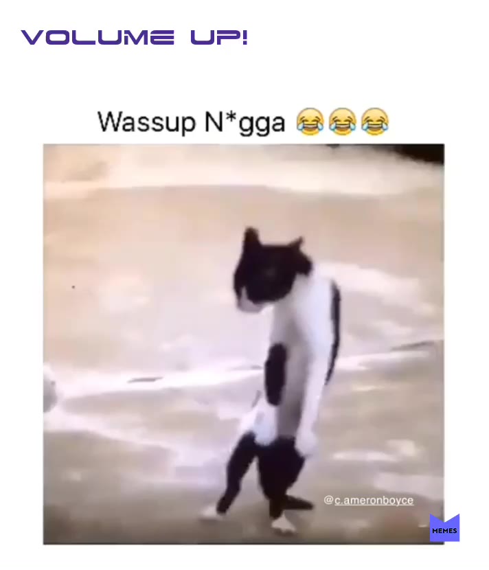 Post by @mr_nigga | Memes