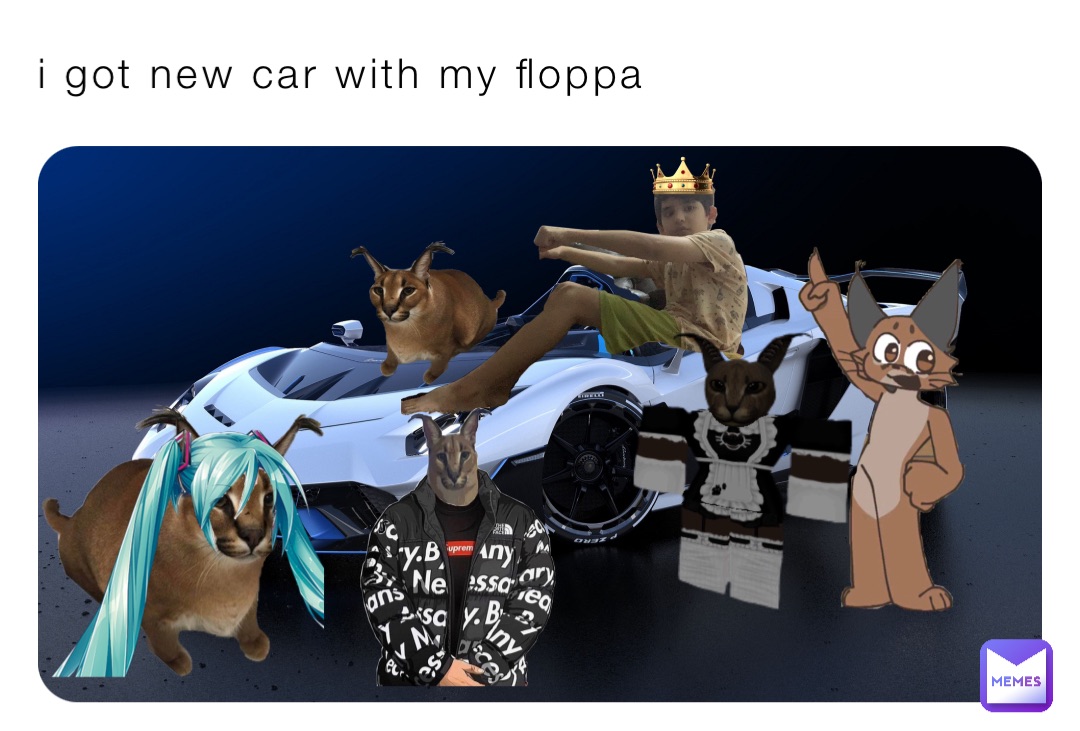 i got new car with my floppa | @uriellopez7432 | Memes