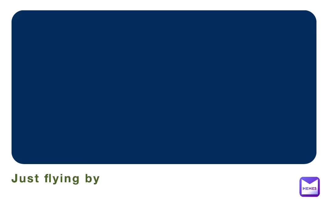 Just flying by | @Sydney426 | Memes