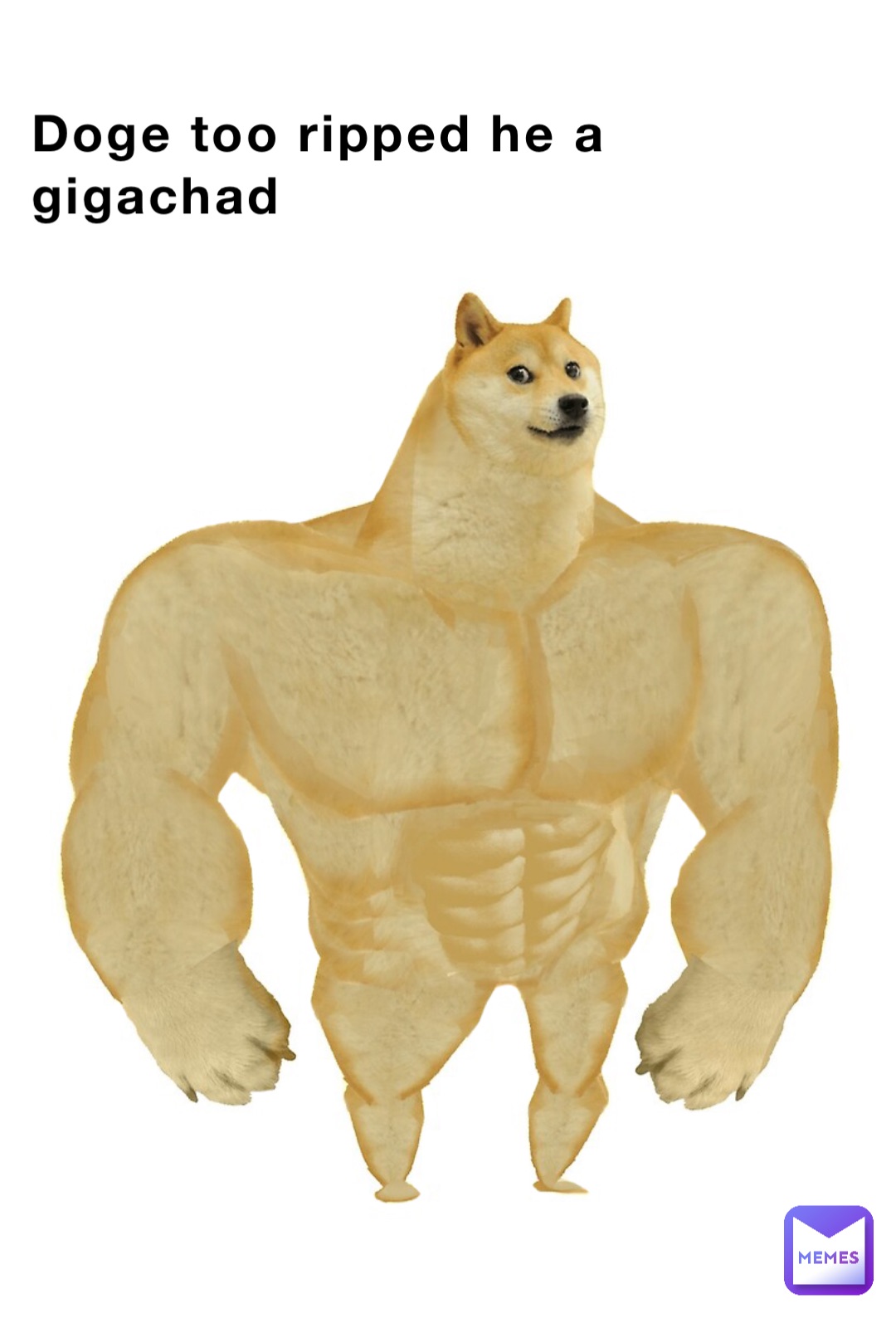 Doge too ripped he a gigachad | @The_super_meme_boi | Memes