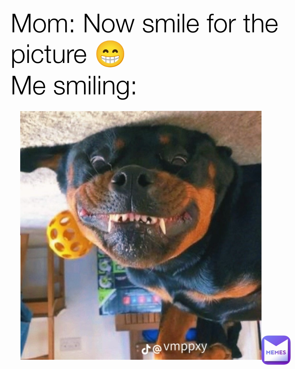 Mom: Now smile for the picture 😁 Me smiling: | @Mia_or_Milo | Memes