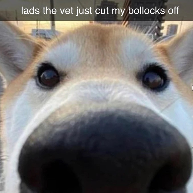 Post by @Radical_Larry | Memes