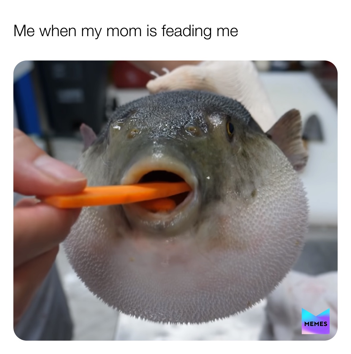 Post by @eh_idk | Memes