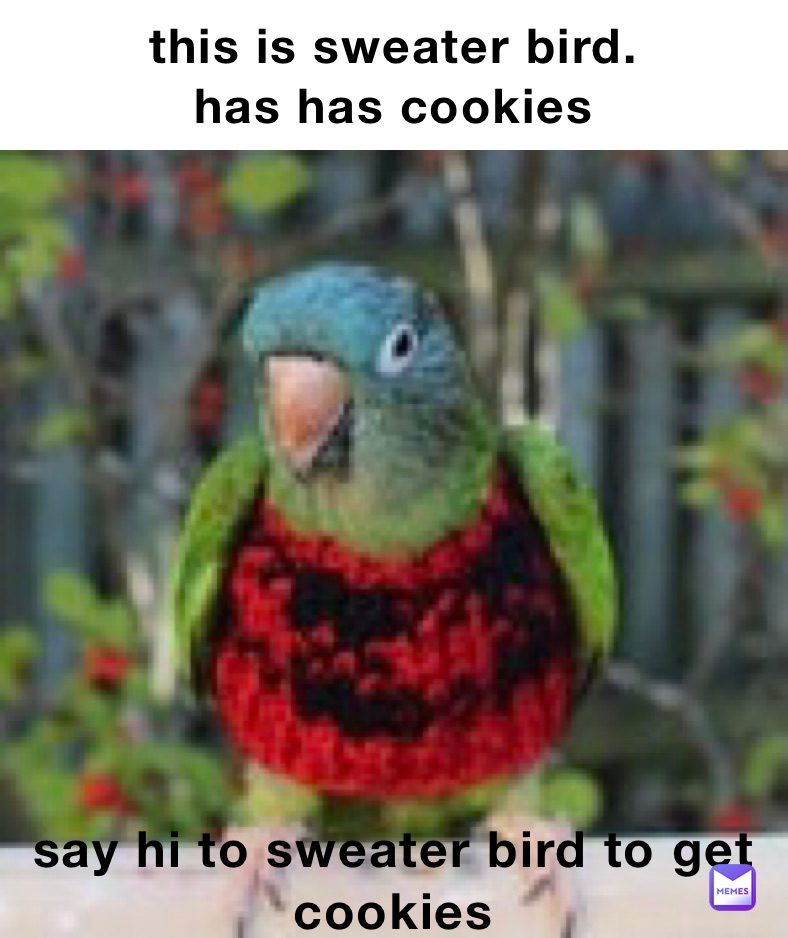 this is sweater bird. has has cookies say hi to sweater bird to get ...