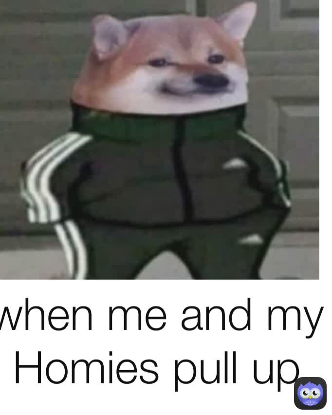 when me and my Homies pull up | @saben_sabes | Memes