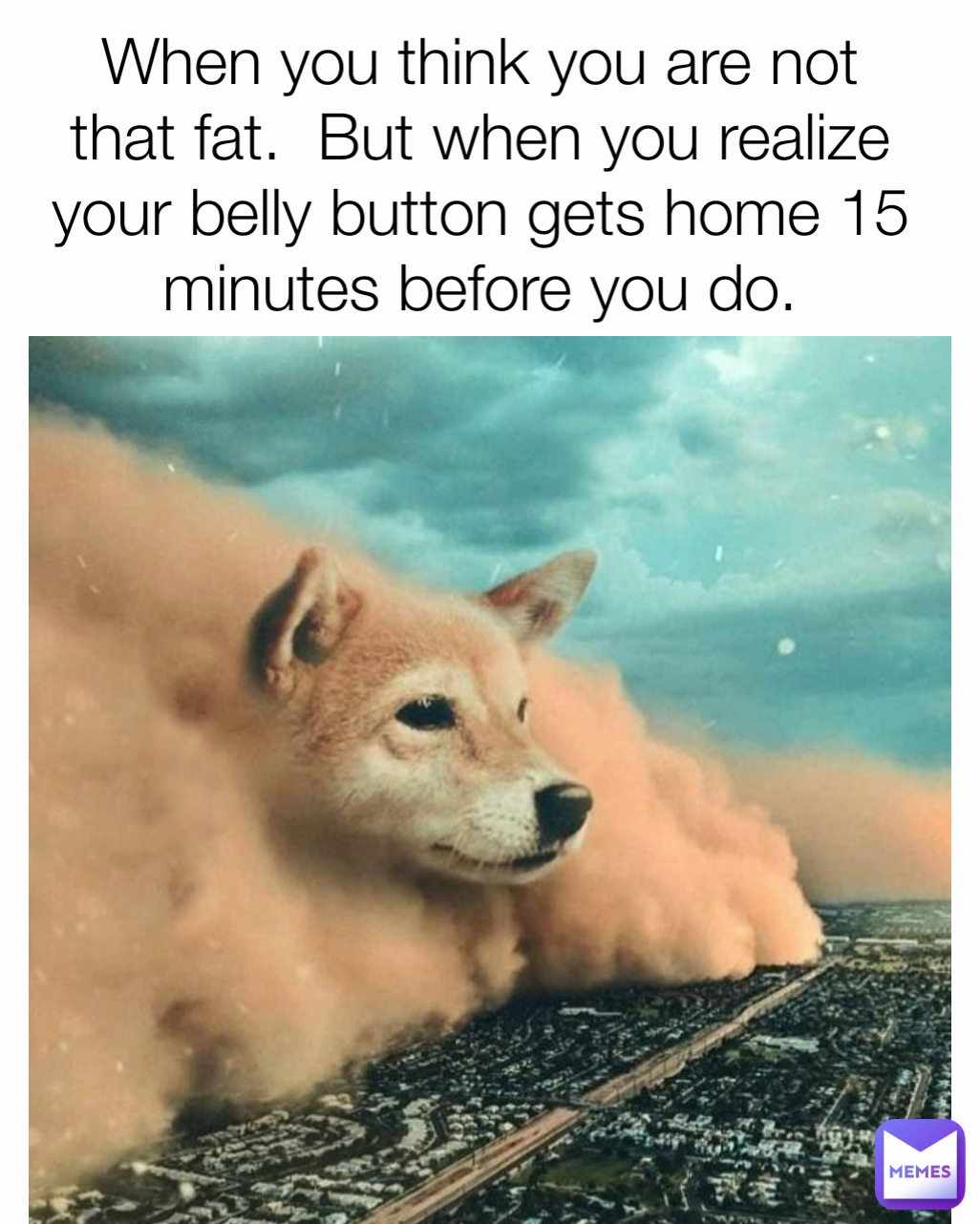 Youre Fat Meme