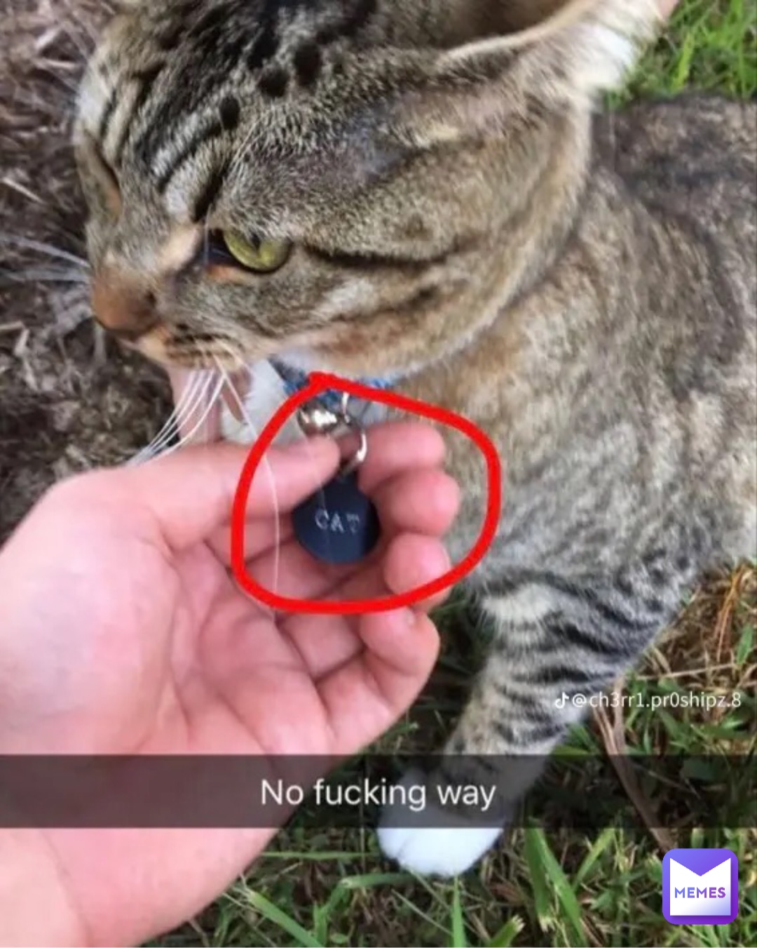 Post By TheTwinTigers Memes post-by-thetwintigers-memes