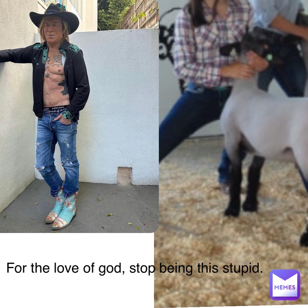 For the love of god, stop being this stupid. | @aandmranch | Memes