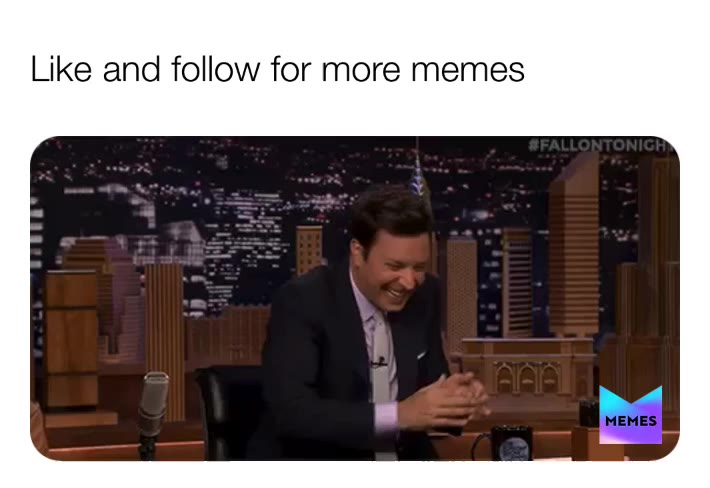 Post by @weener_dog_memes | Memes