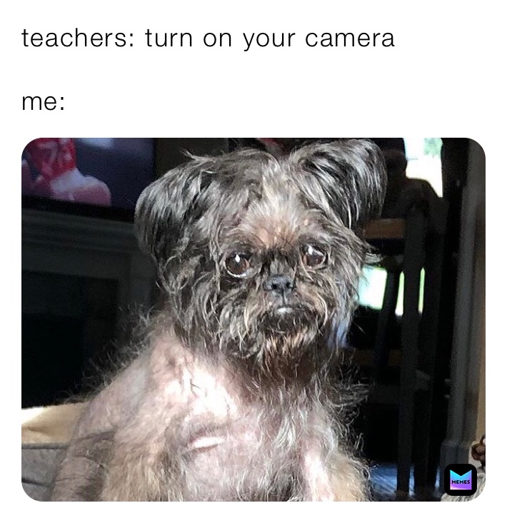 teachers: turn on your camera me: | @livrenee13 | Memes