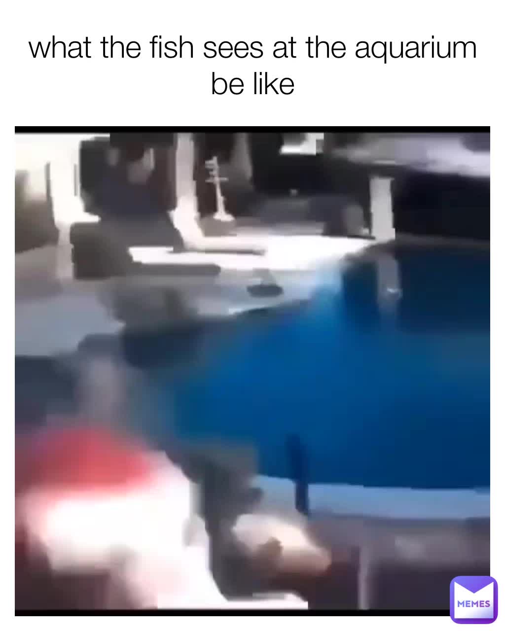 what the fish sees at the aquarium be like | @meme_man445 | Memes